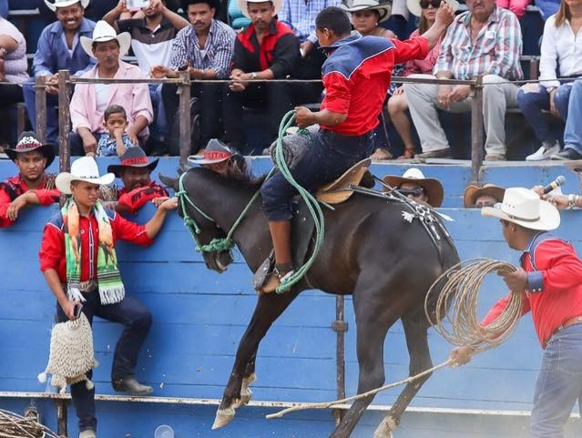 EL RODEO MONTUVIO PIMOCHA 2022: LA TRADICIONAL FIESTA CULTURAL DE ...